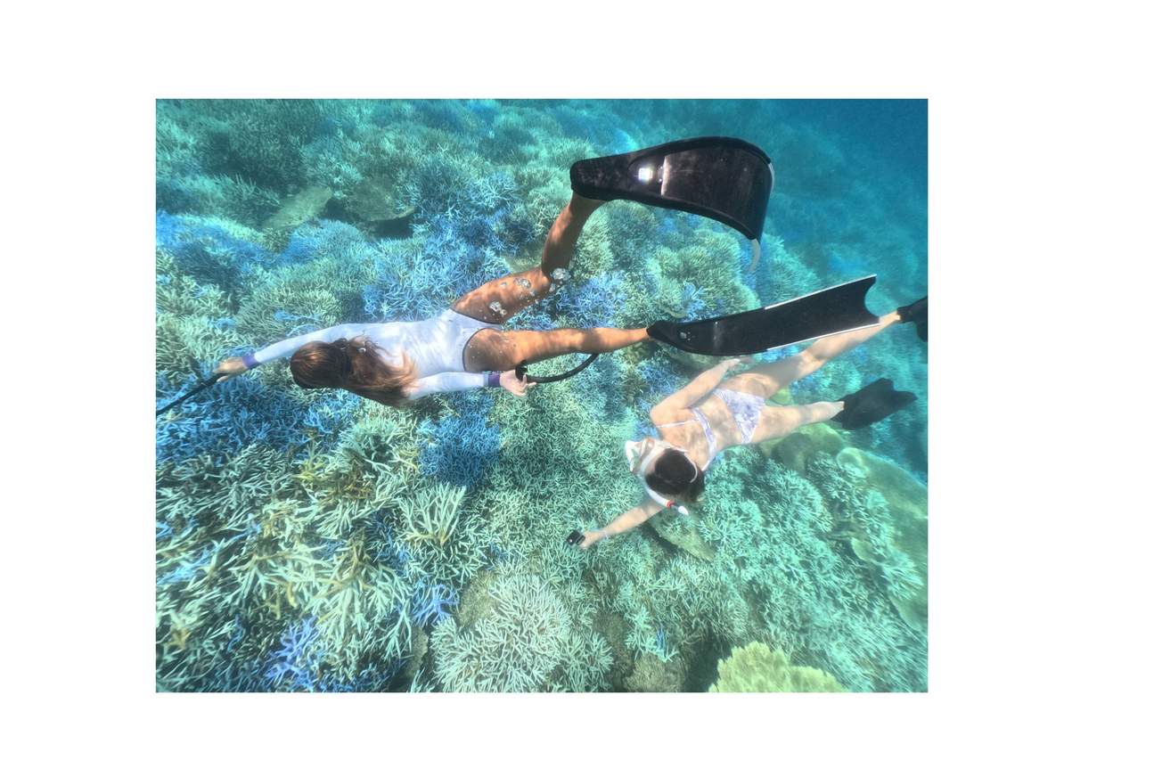 [Onna Village, Nakayukui] High Probability of Swimming with Sea Turtles! Beach Entry Snorkeling ...